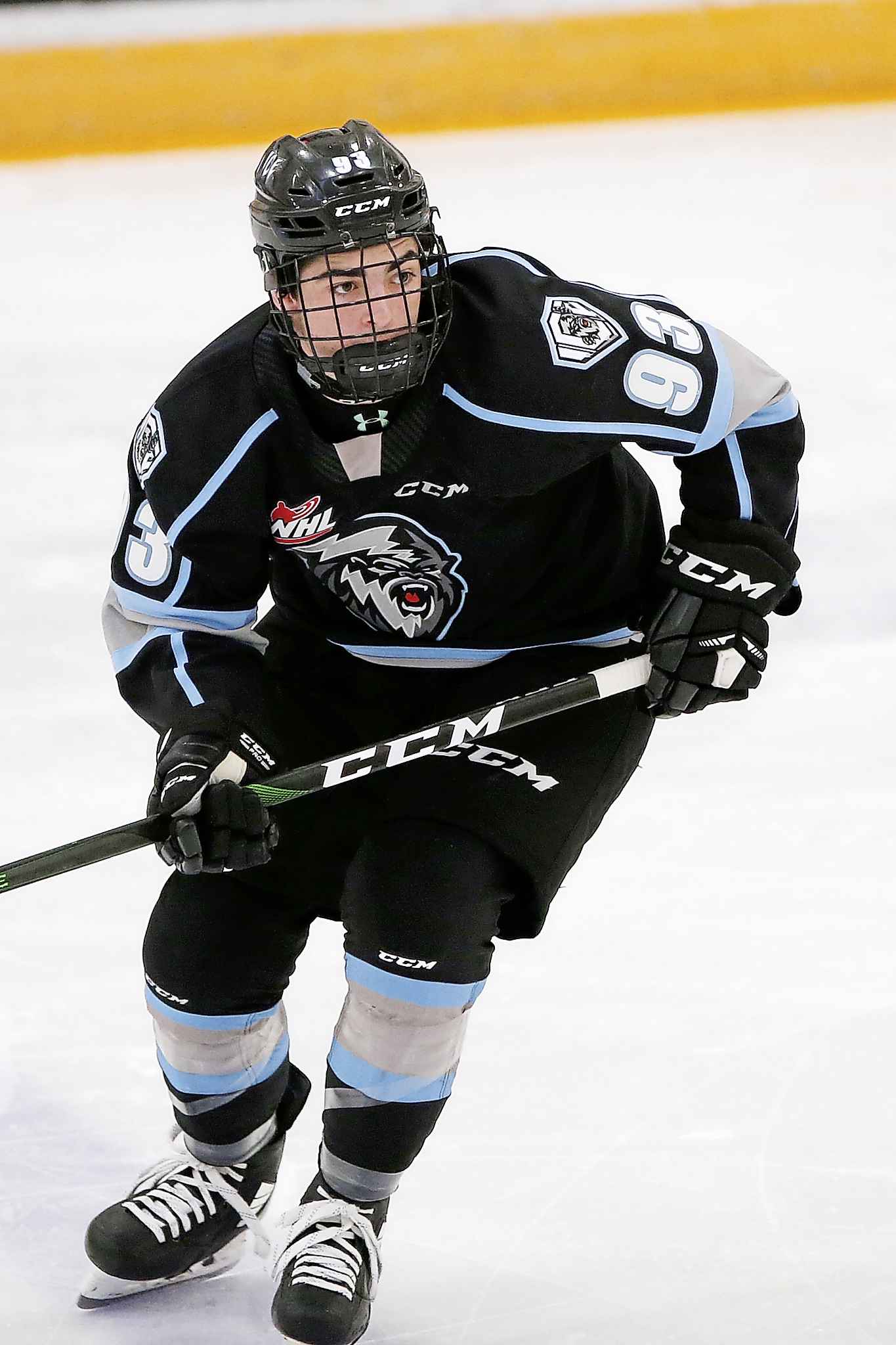 Ice add veterans for depth on defence, in net – Winnipeg Free Press