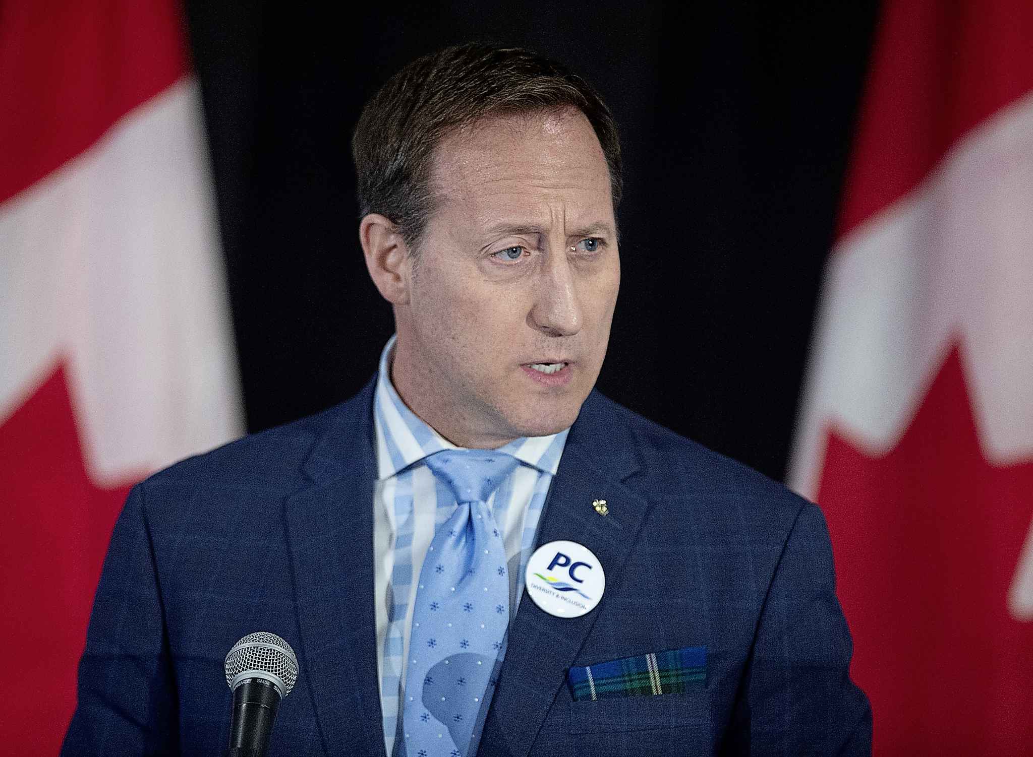 Supporters say MacKay well-suited to unite the right, unify country ...