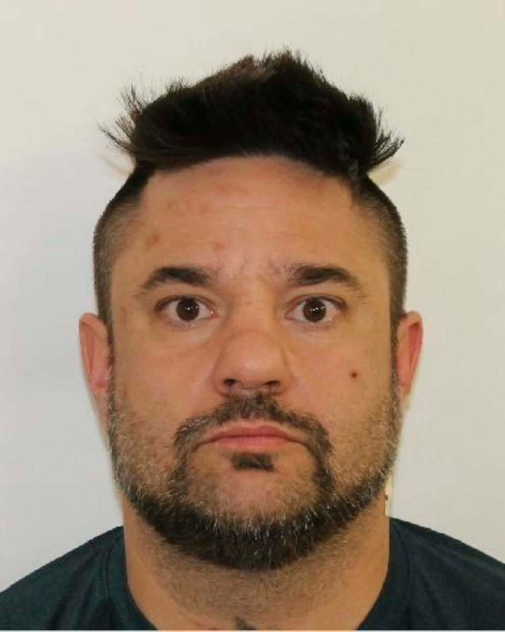 ‘Wannabe’ gangster gets house arrest – Winnipeg Free Press