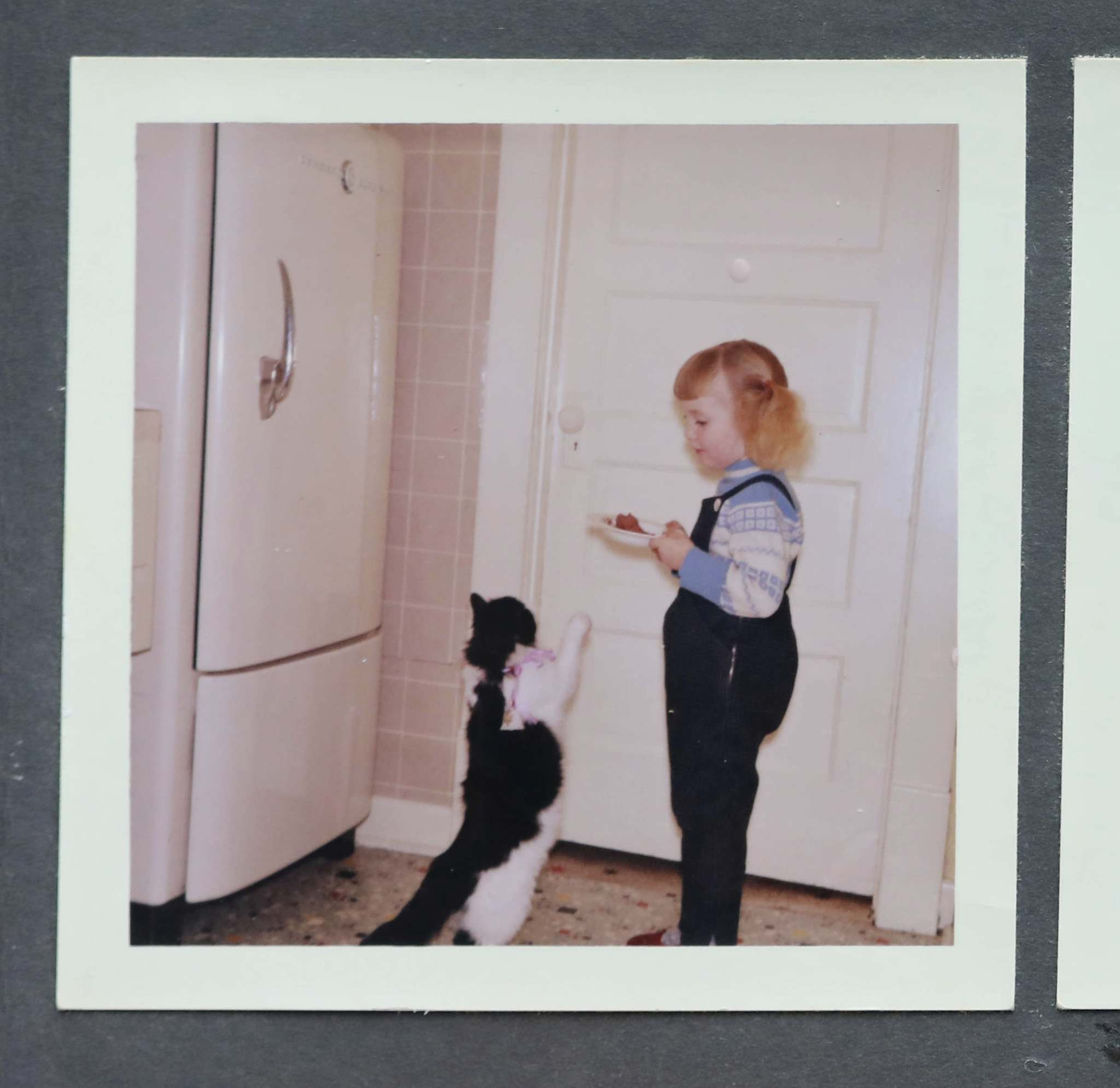 Shades of grey – Winnipeg Free Press