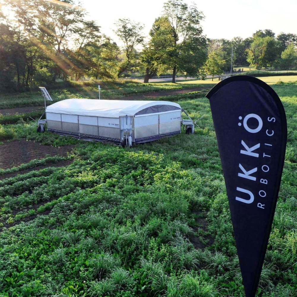 Robo-coop a winner, delivers chicken dinner – Winnipeg Free Press