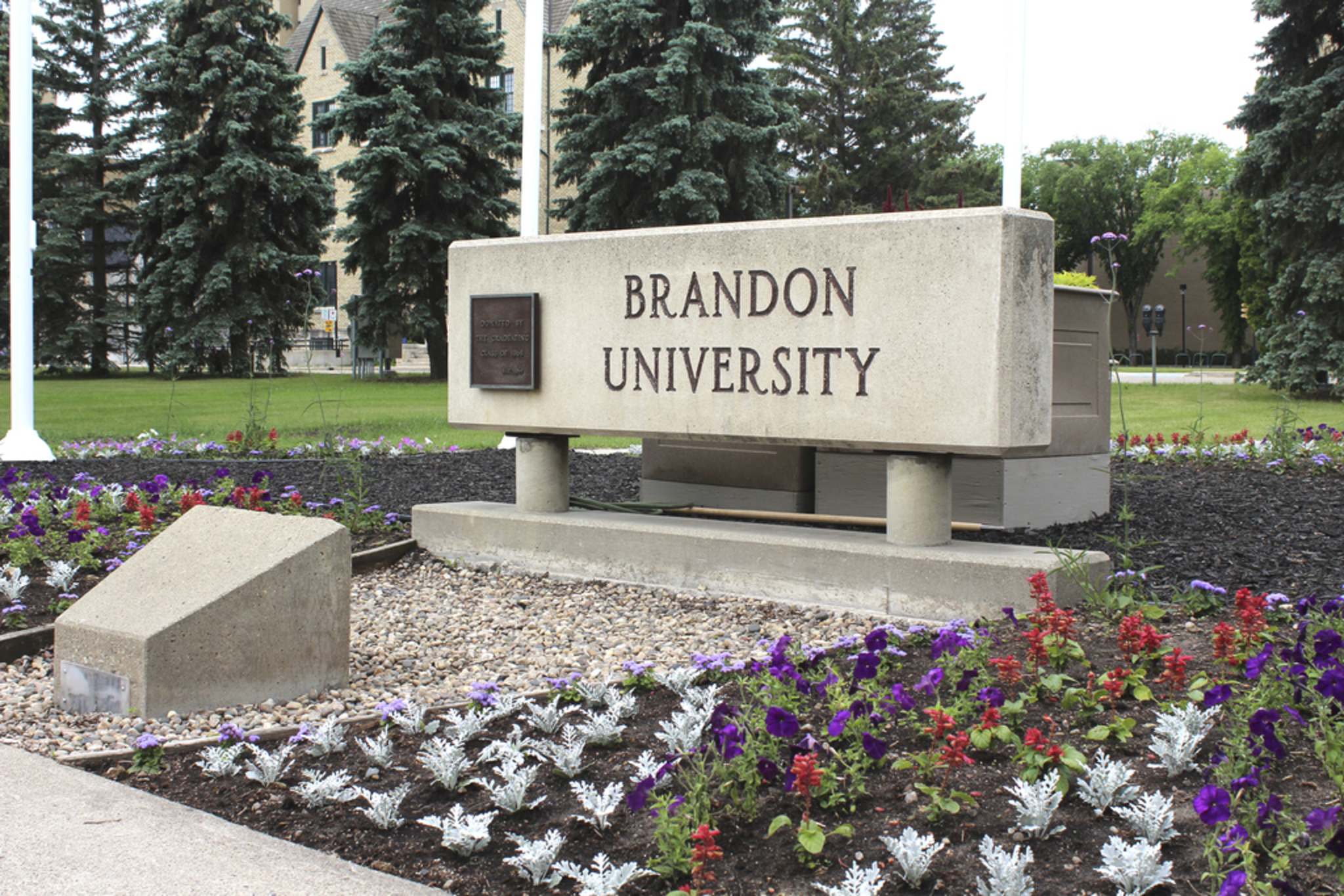Brandon University slammed for lack of vaccine mandate – Winnipeg Free ...