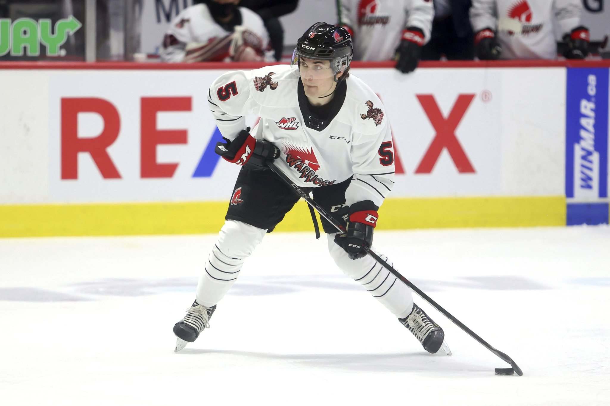 At home on ice and diamond – Winnipeg Free Press