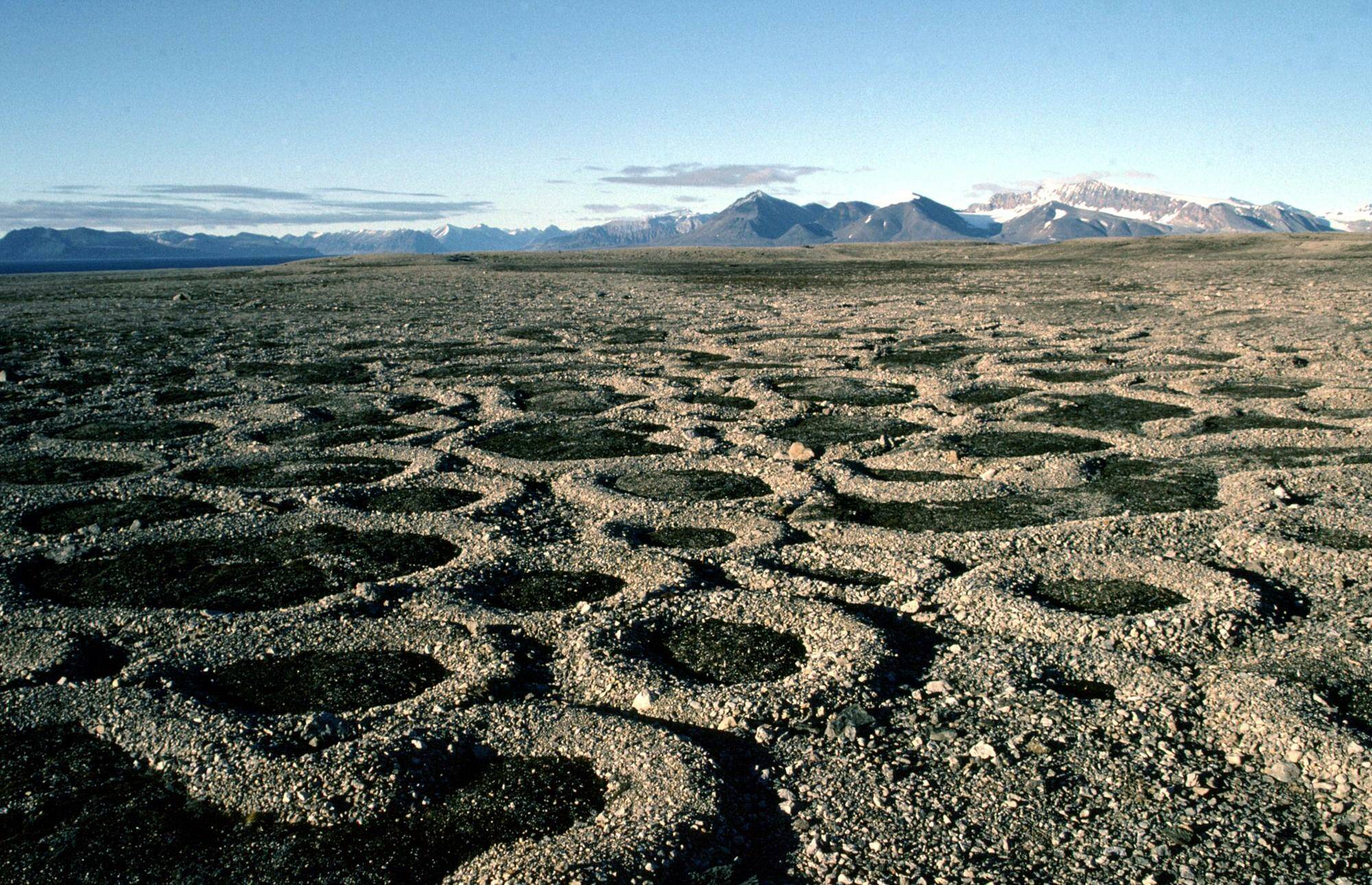 Cold hard truths – Winnipeg Free Press