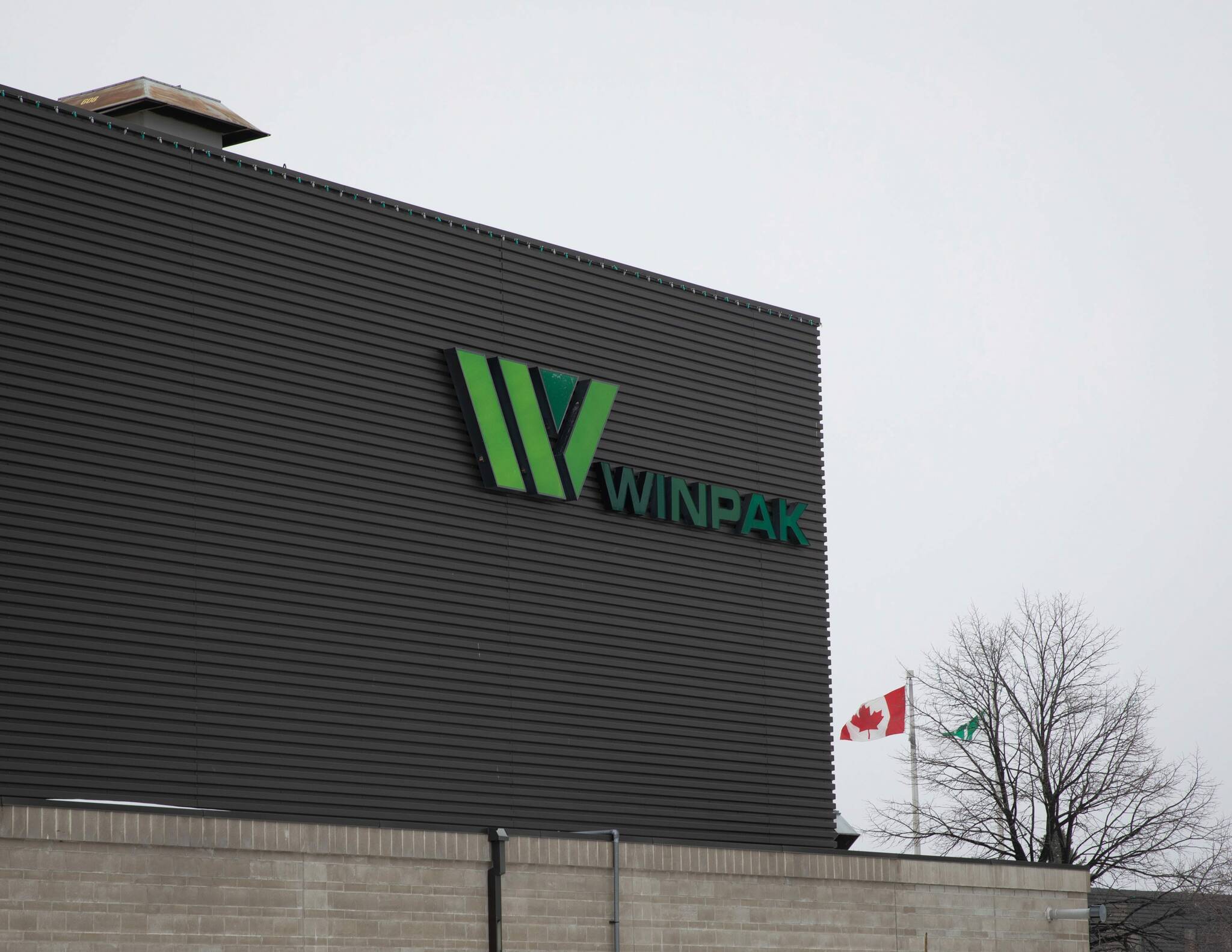 Manufacturing firm Winpak brought to its knees by hackers – Winnipeg ...