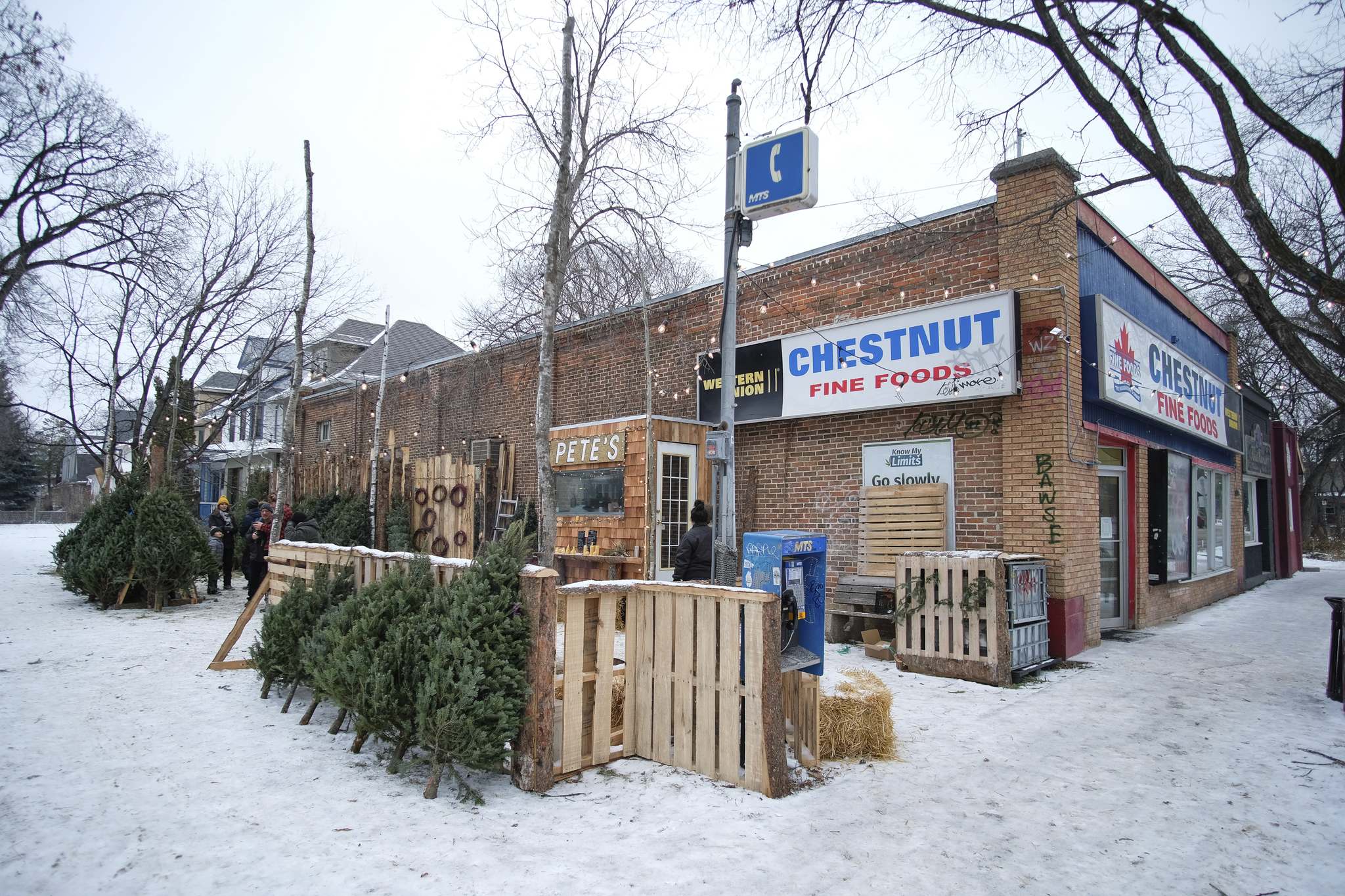 Sprucing up the neighbourhood – Winnipeg Free Press