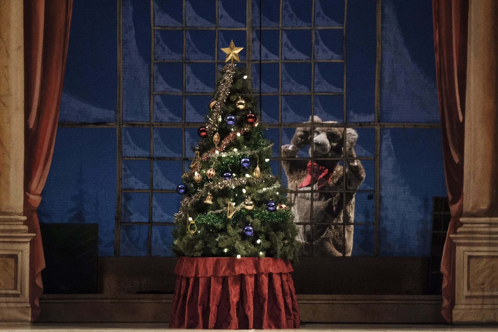 RWB’s Nutcracker turns 20, its tale of wonder remains – Winnipeg Free Press