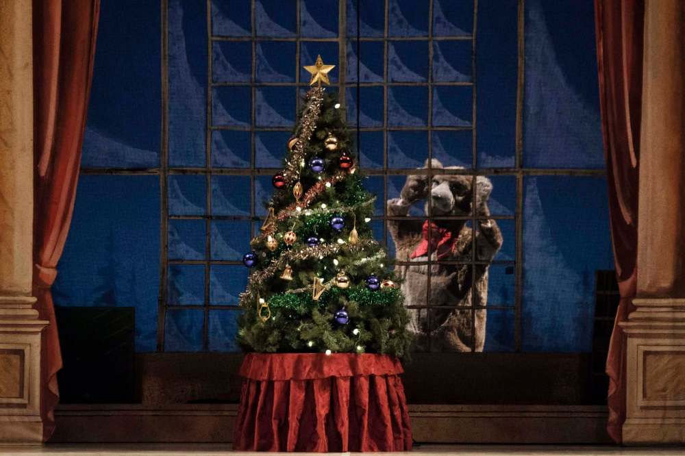 RWB’s Nutcracker turns 20, its tale of wonder remains – Winnipeg Free Press