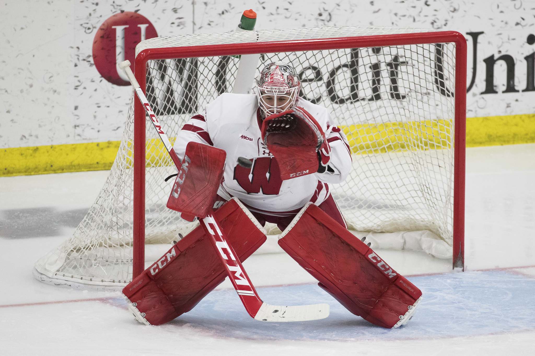 Badgers chase back-to-back titles – Winnipeg Free Press