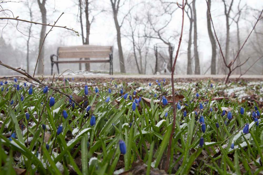 Memories of Munson Park – Winnipeg Free Press