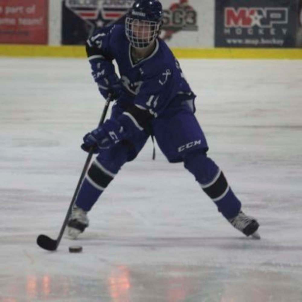 Two Minny picks for Ice – Winnipeg Free Press