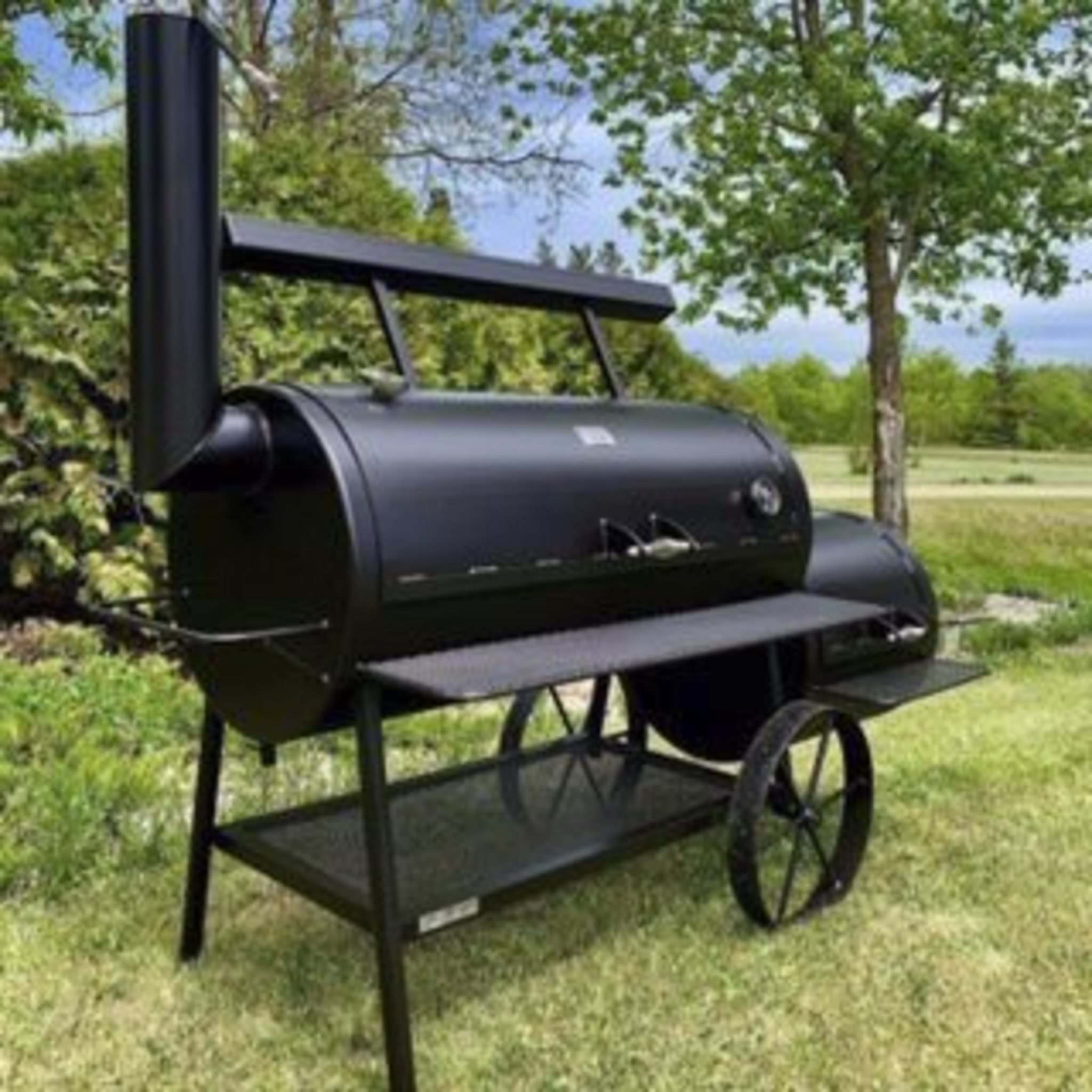 The barbecue bug – Winnipeg Free Press