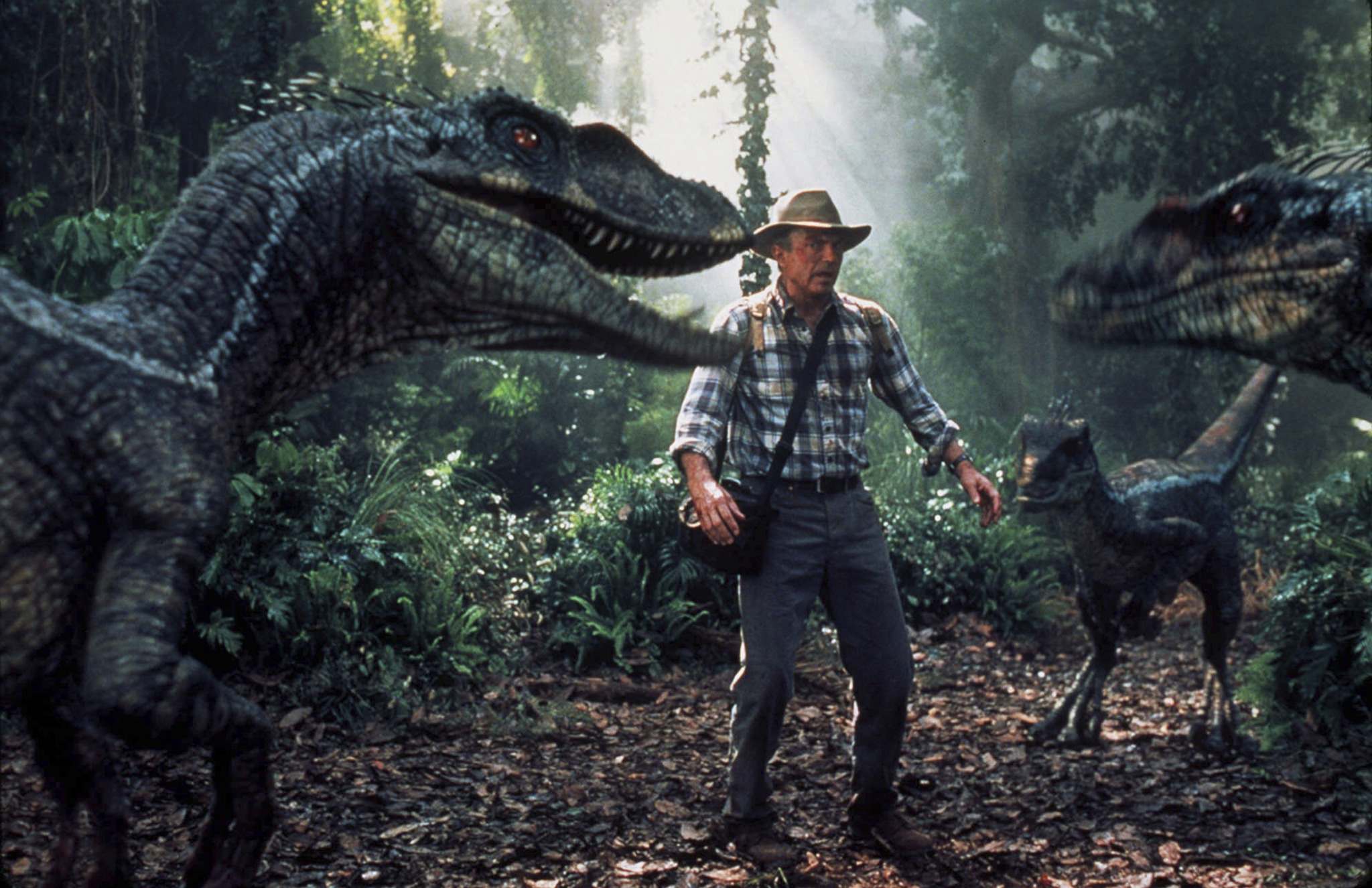 Film hiatus reminds us of the truly marvellous – Winnipeg Free Press