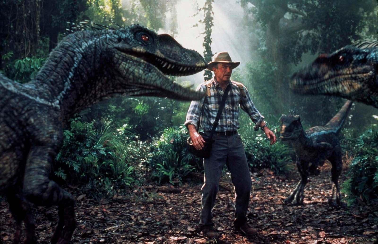 Film hiatus reminds us of the truly marvellous – Winnipeg Free Press