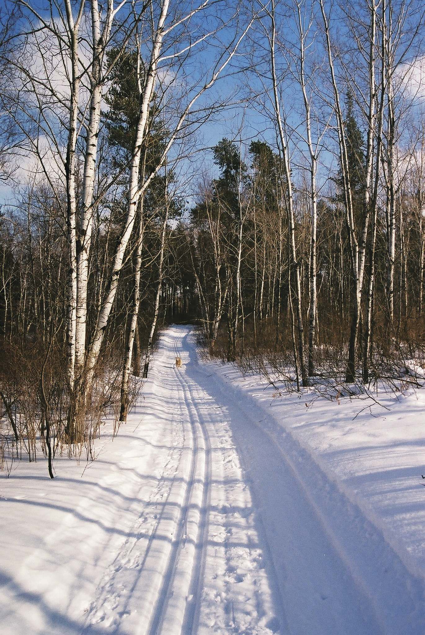 Sandilands reflect continent’s long history – Winnipeg Free Press