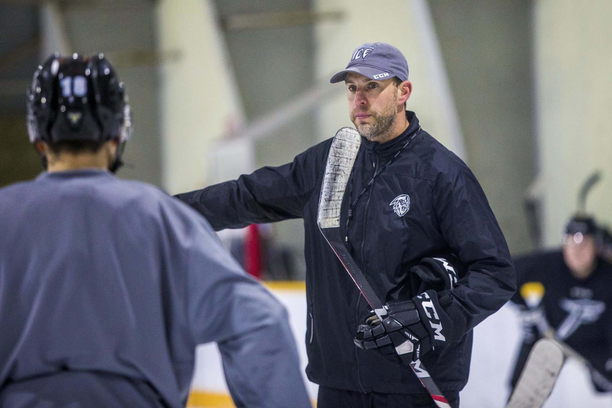 Coach feverishly builds Freeze – Winnipeg Free Press