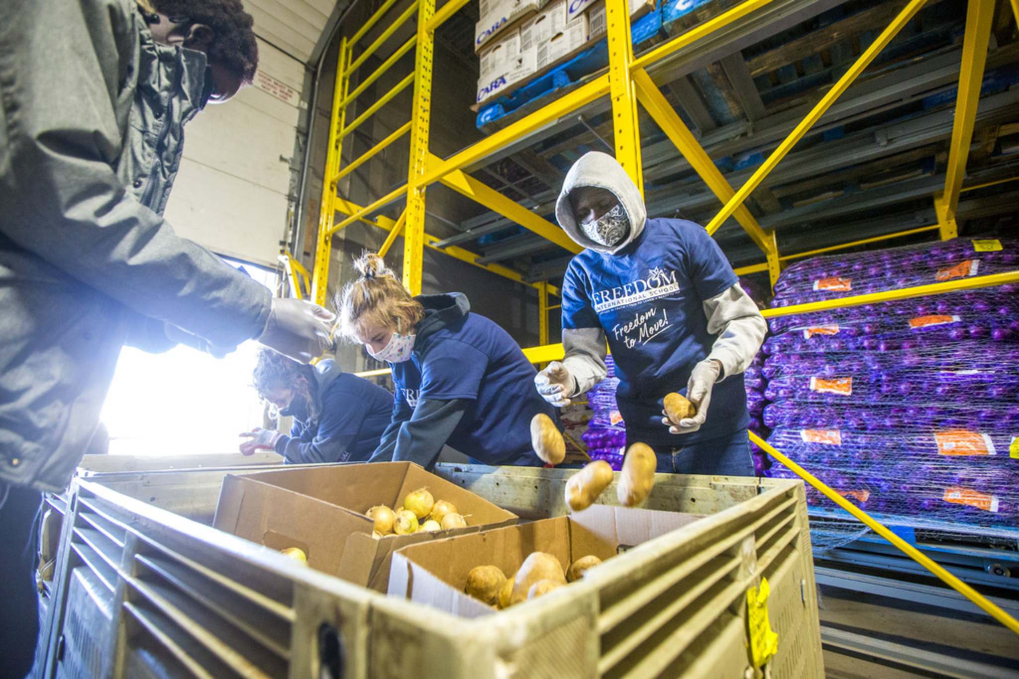 Students get cracking with potato packing – Winnipeg Free Press
