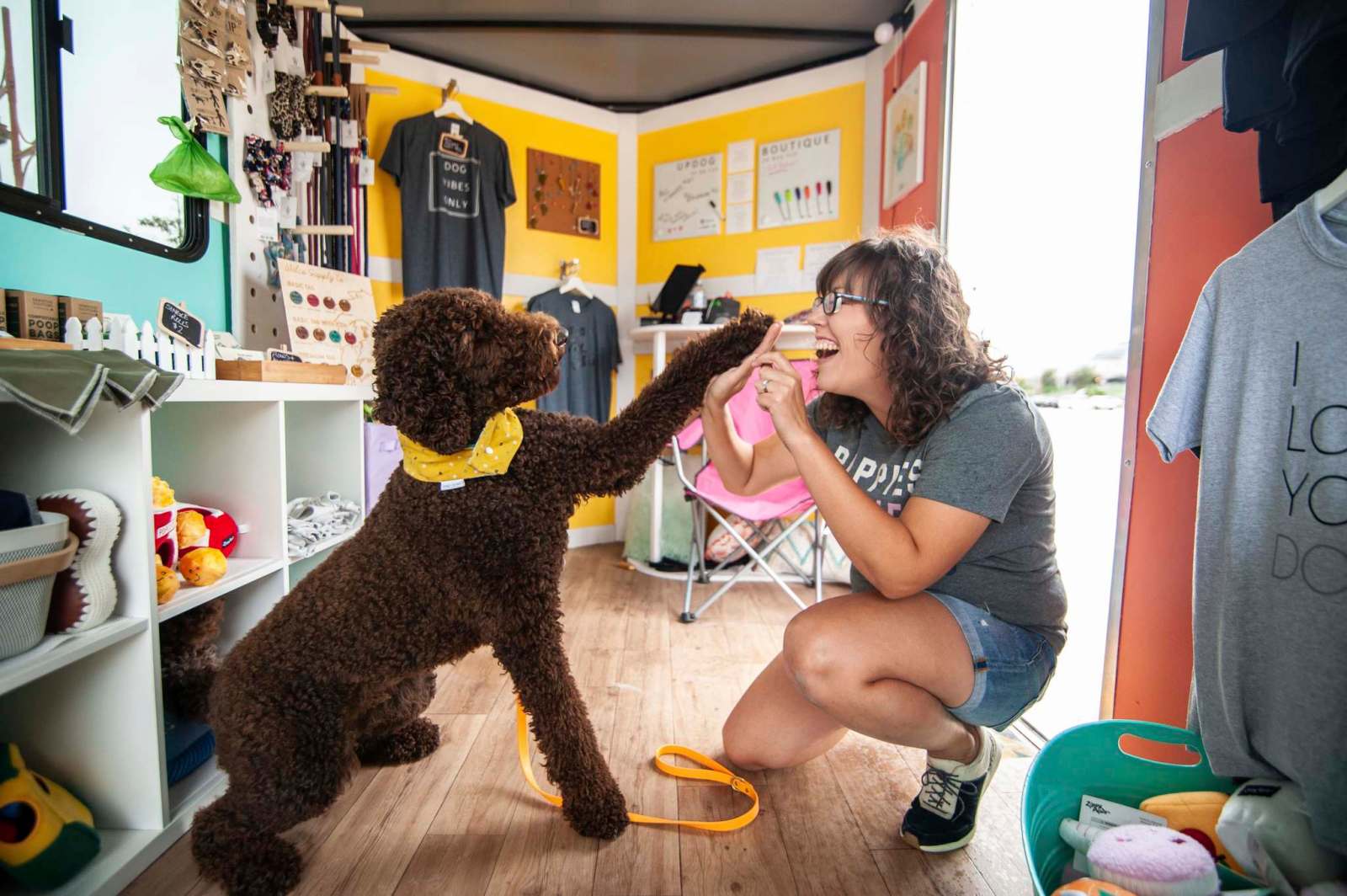 Grrreat gifts, purrfect presents – Winnipeg Free Press