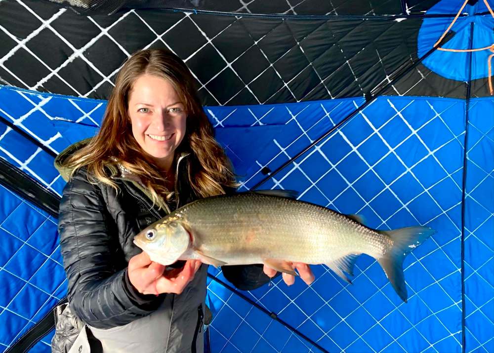 Study: Lake Winnipeg has undergone extensive changes – Winnipeg Free Press