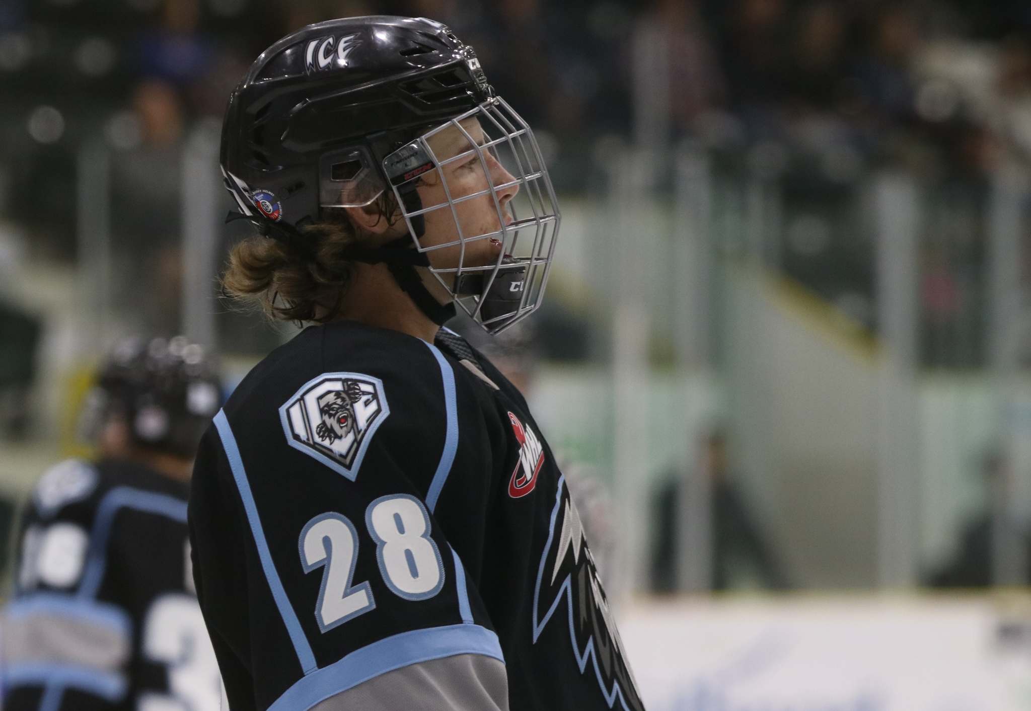 High expectations for Ice rookie – Winnipeg Free Press