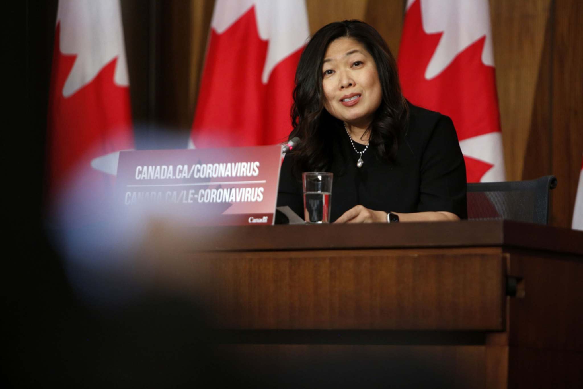 Minister touts federal budget to Winnipeg biz leaders – Winnipeg Free Press