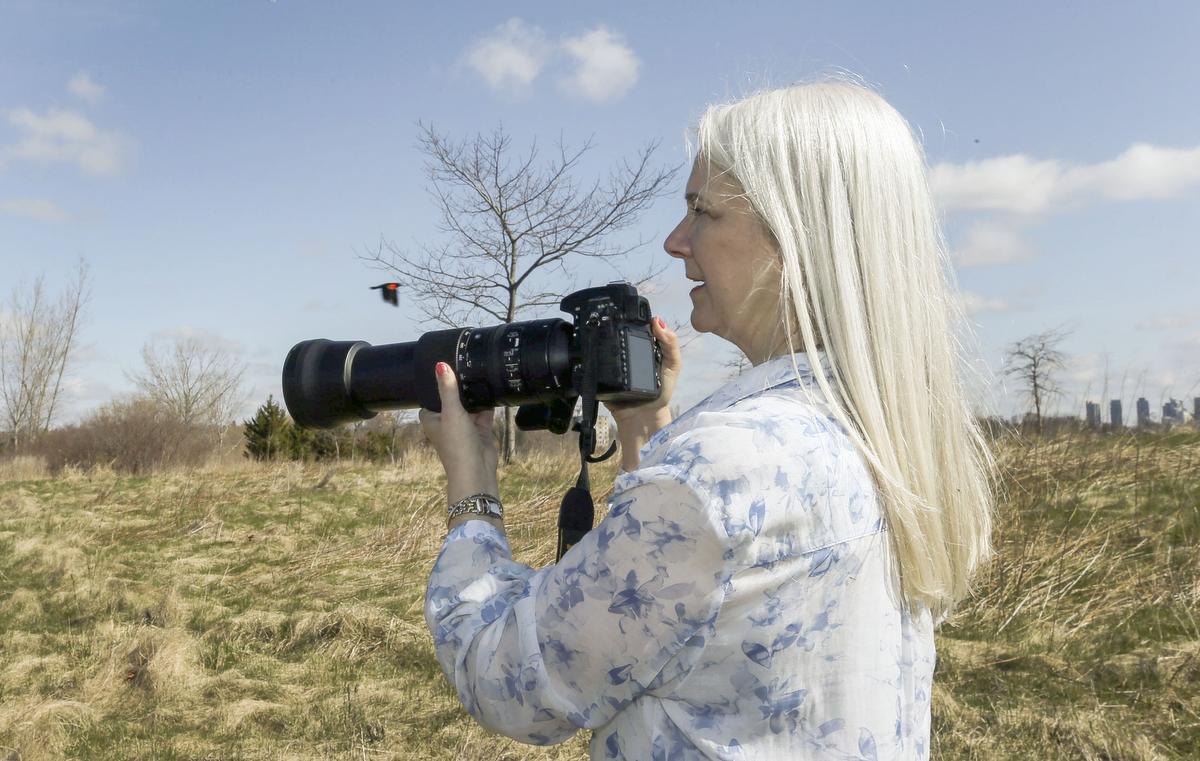 Birding helped when Elizabeth Marwick-Stratton’s husband was dying of ...