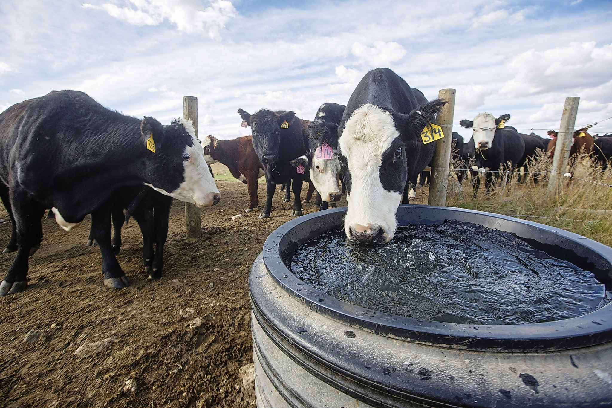 Harvesting uncertainty – Winnipeg Free Press