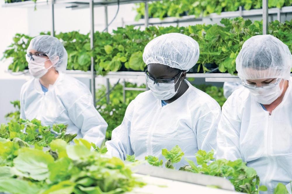 Medicago, maker of first Canadian COVID vaccine candidate, submits ...