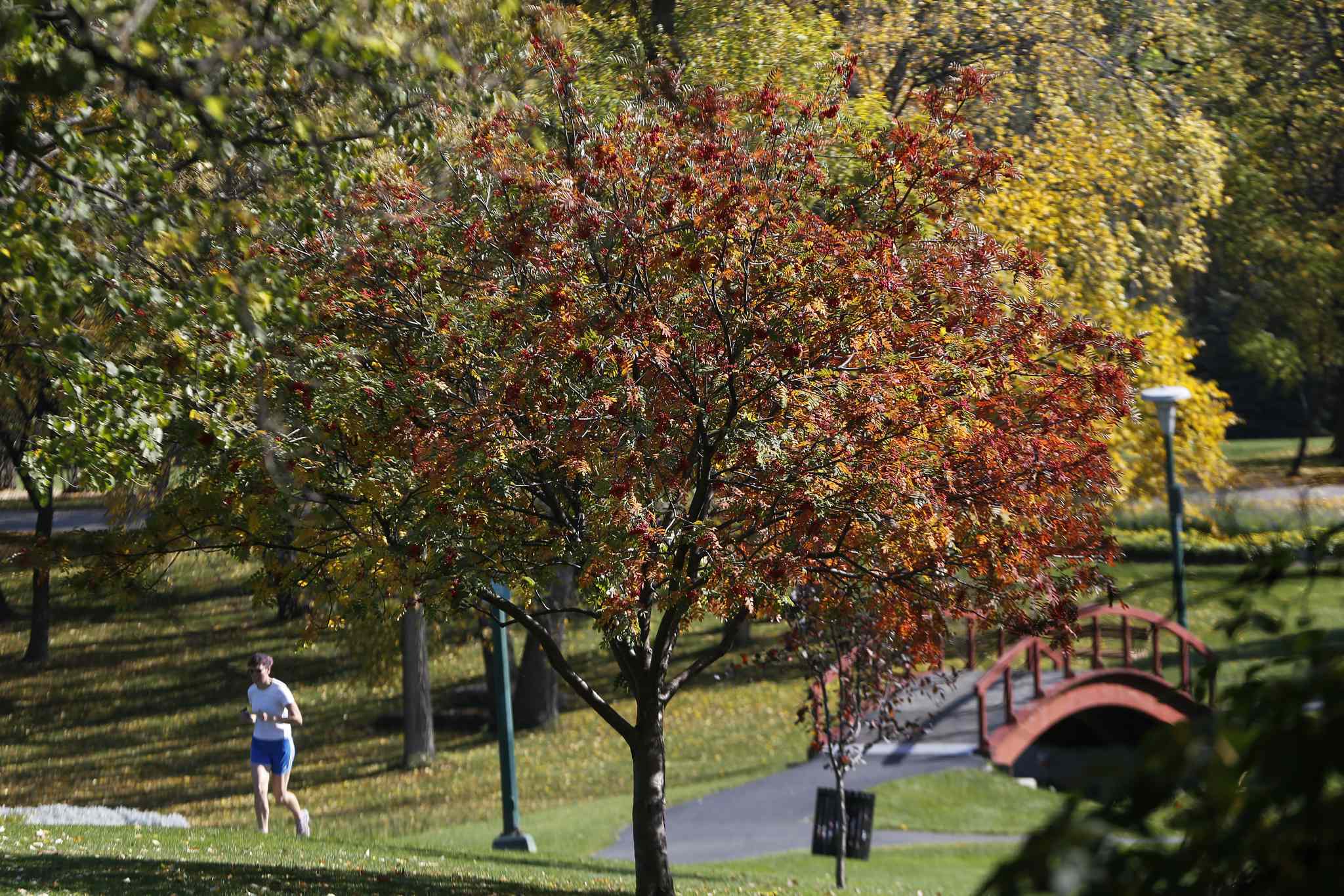 The fall colours are alive in Manitoba – Winnipeg Free Press