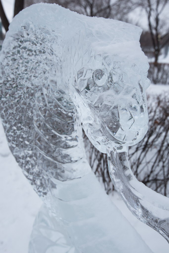 The Great Ice Show starts up at The Forks – Winnipeg Free Press