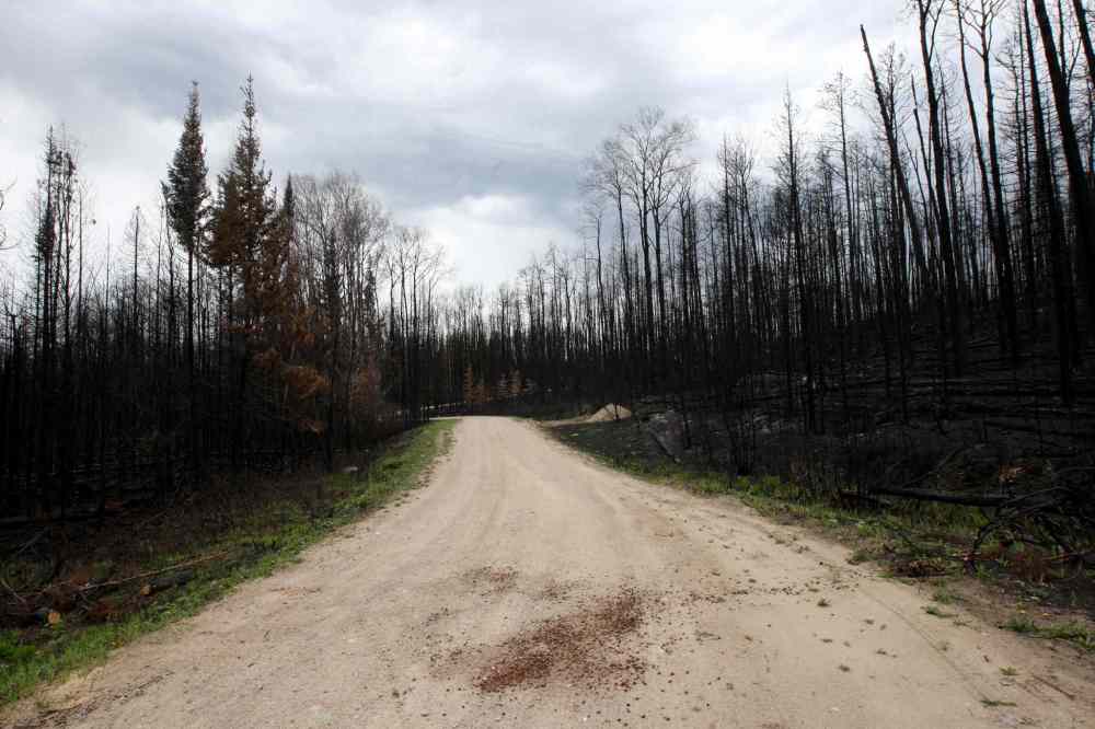 Whiteshell wildfire leaves ‘sheer blackness’ in its wake – Winnipeg ...