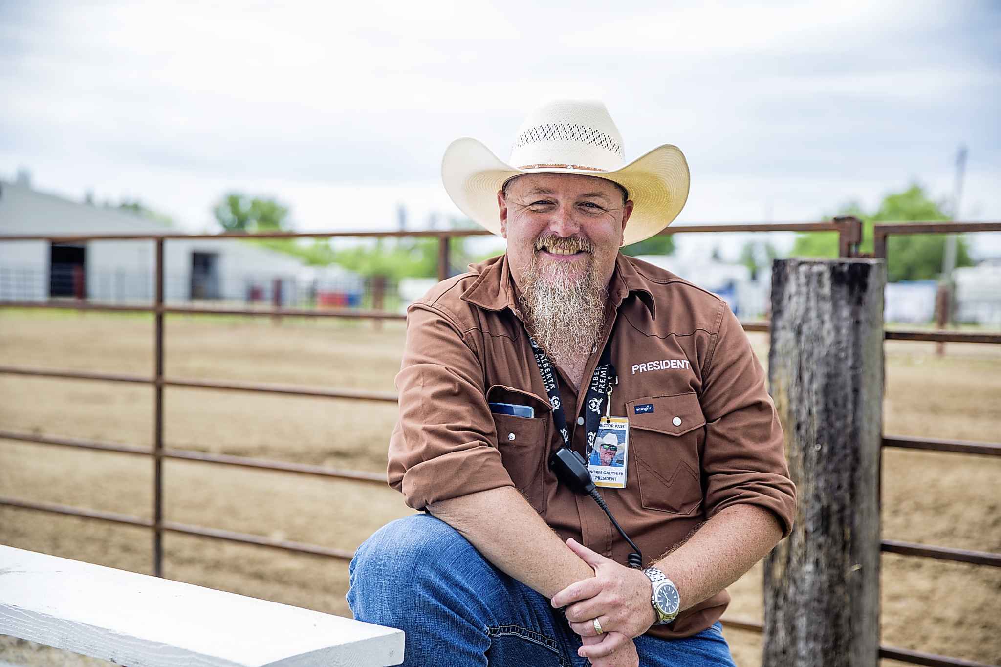 They’re not horsin’ around – Winnipeg Free Press