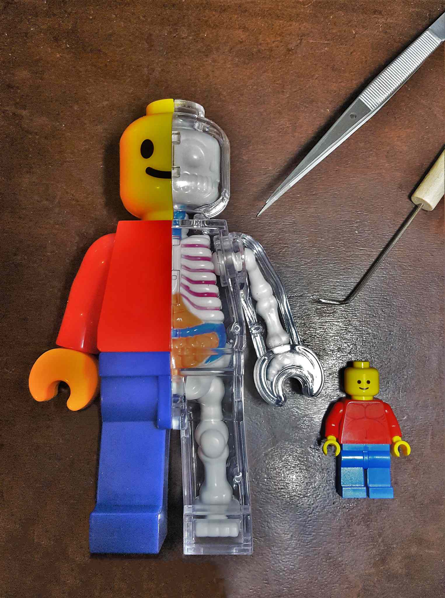 Some assembly required – Winnipeg Free Press