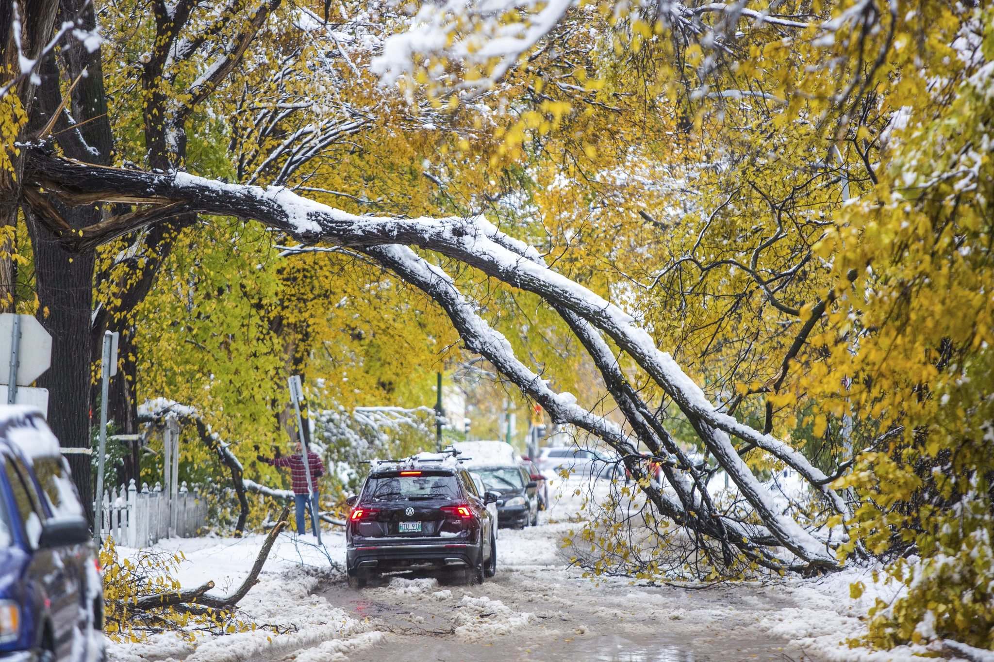 The aftermath: recovering from an October storm – Winnipeg Free Press