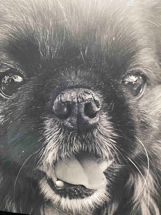 A union to celebrate – Winnipeg Free Press