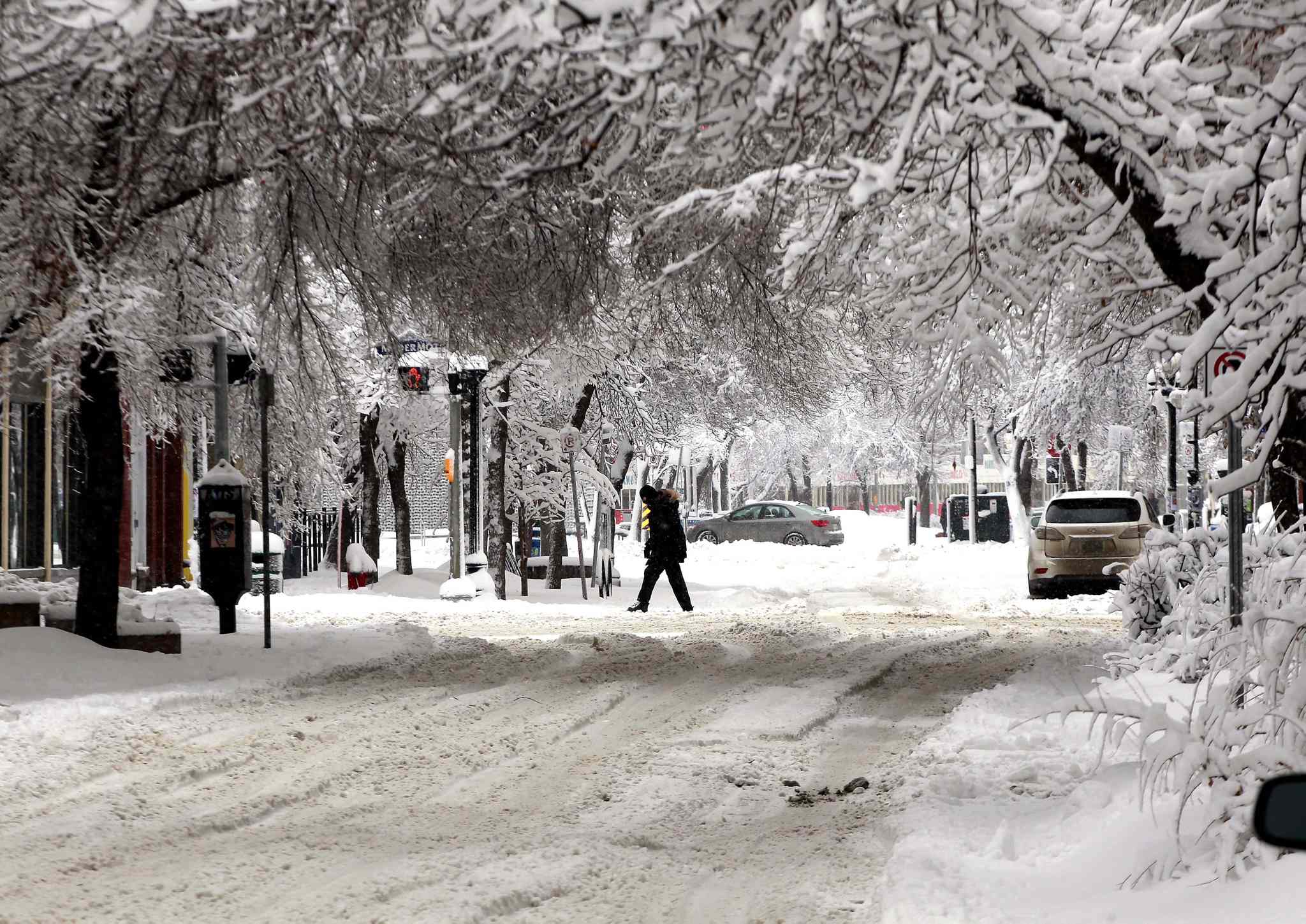 March photos of the month – Winnipeg Free Press