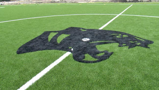 Gordon Bell’s ‘dream field’ officially opens – Winnipeg Free Press