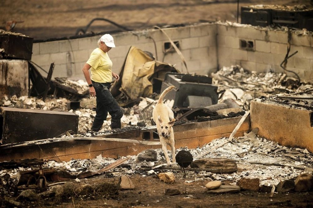 2 found dead in charred car within California wildfire zone – Winnipeg ...