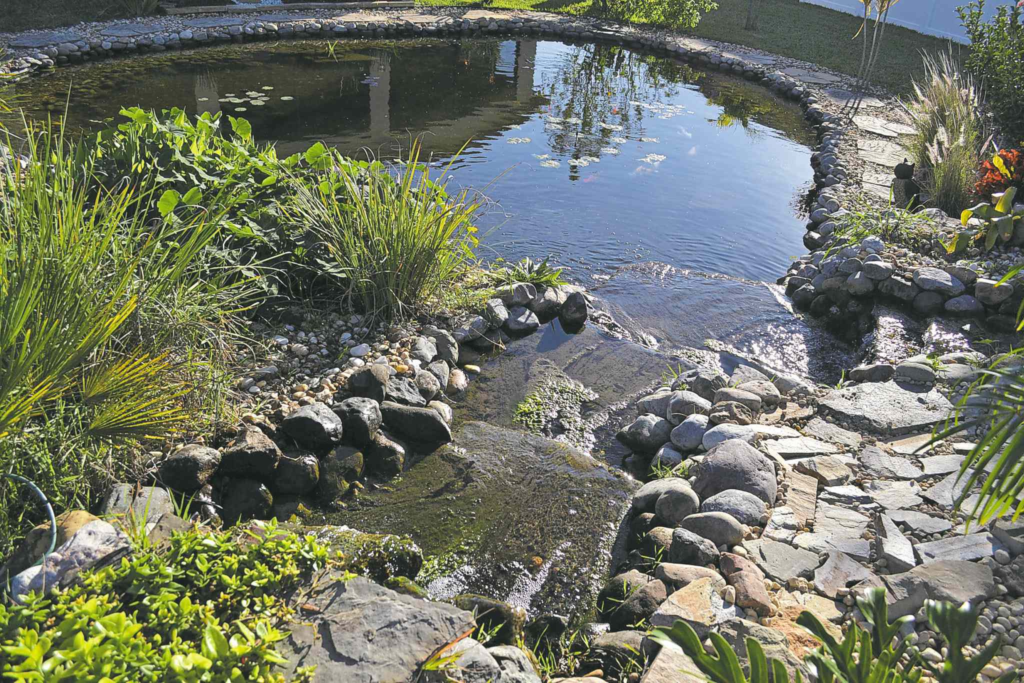 Golden PONDS – Winnipeg Free Press