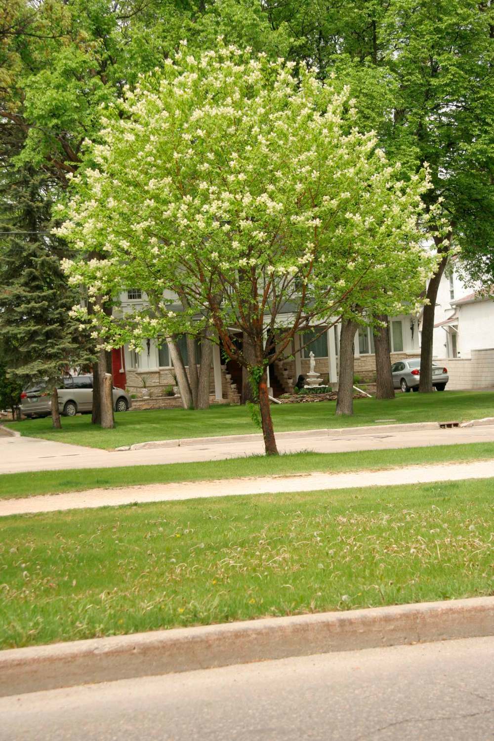 Digging deep – Winnipeg Free Press