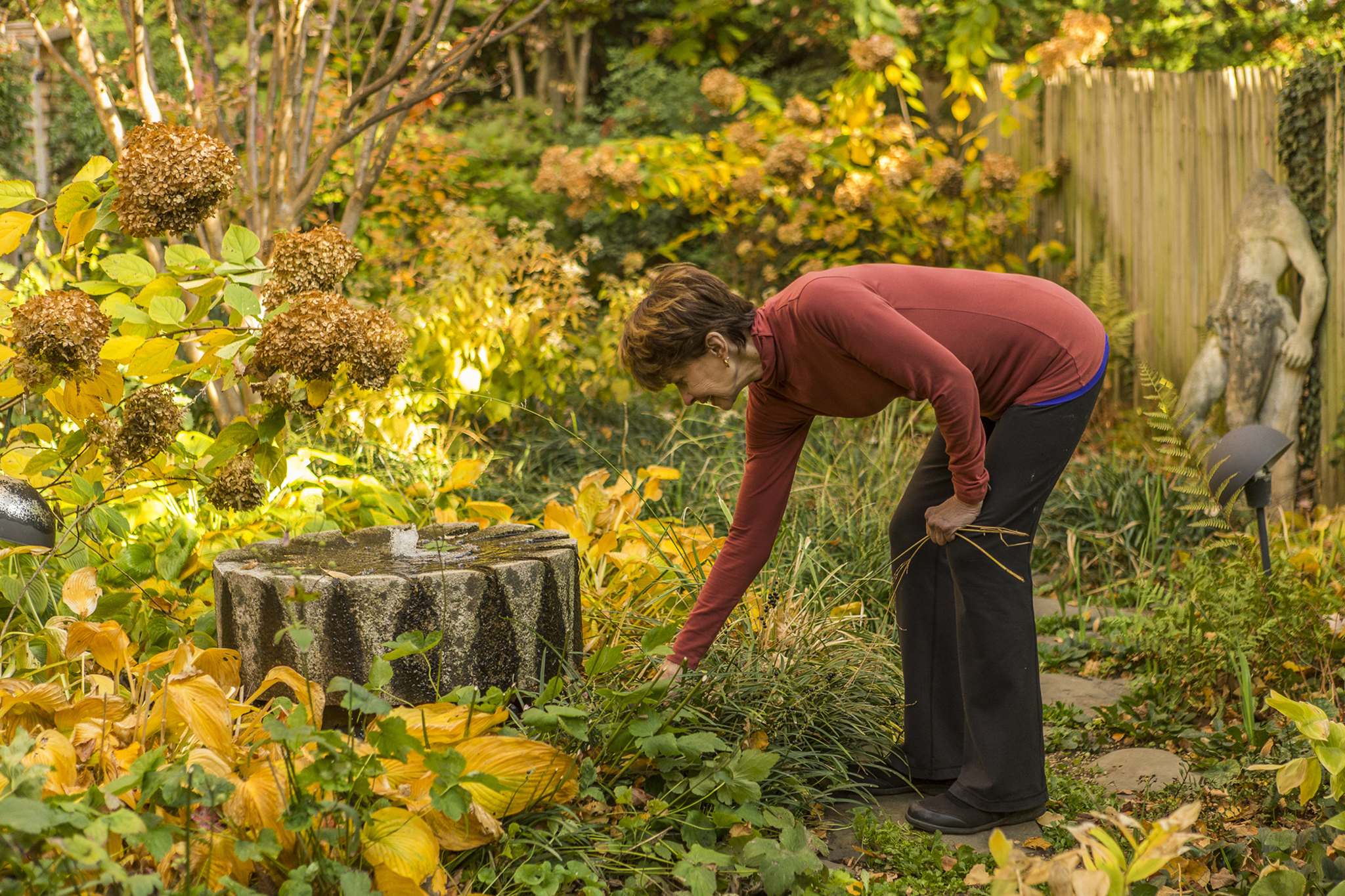 A garden’s native-plant evolution – Winnipeg Free Press