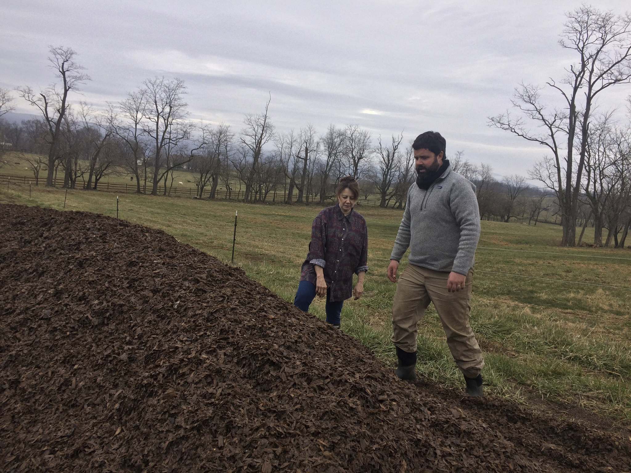 The science behind creating compost – Winnipeg Free Press
