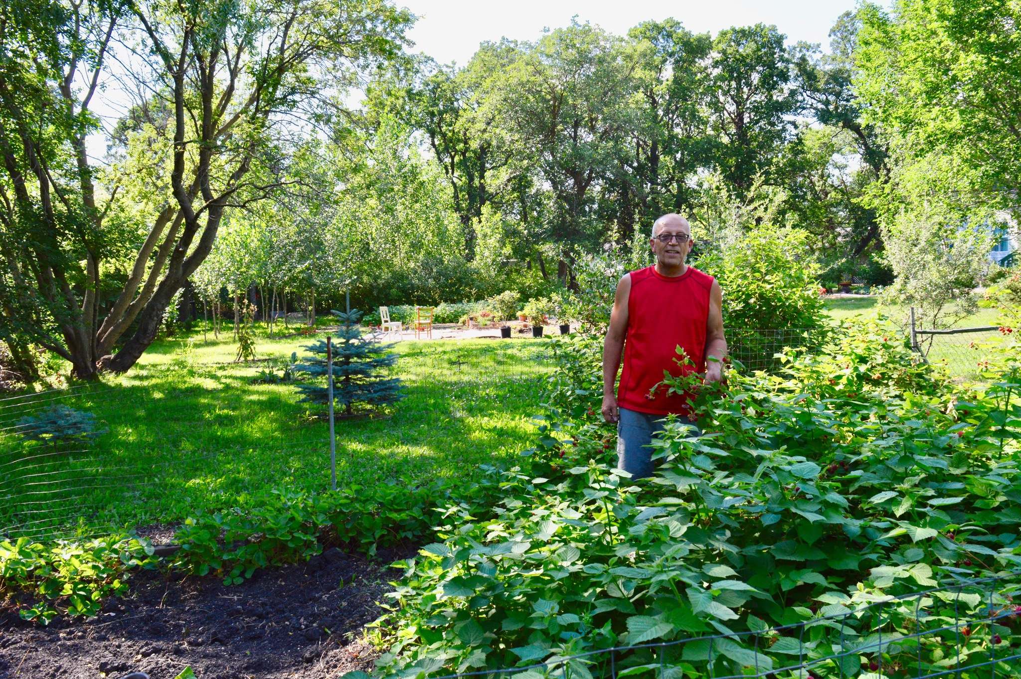 Reviving a rural property – Winnipeg Free Press