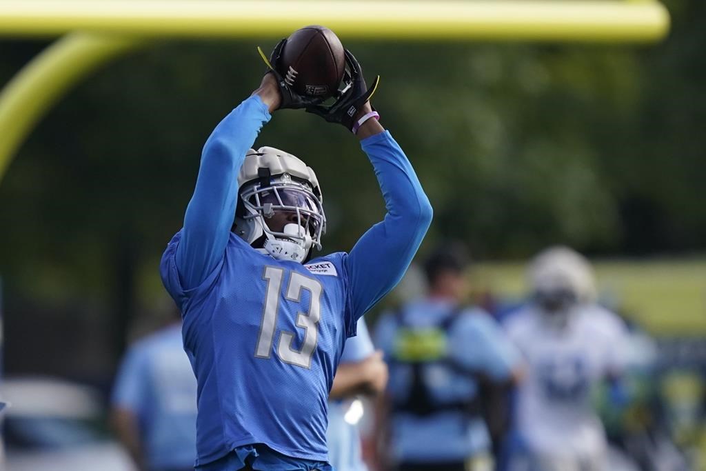 Lions’ Funchess making adjustment to tight end position – Winnipeg Free ...