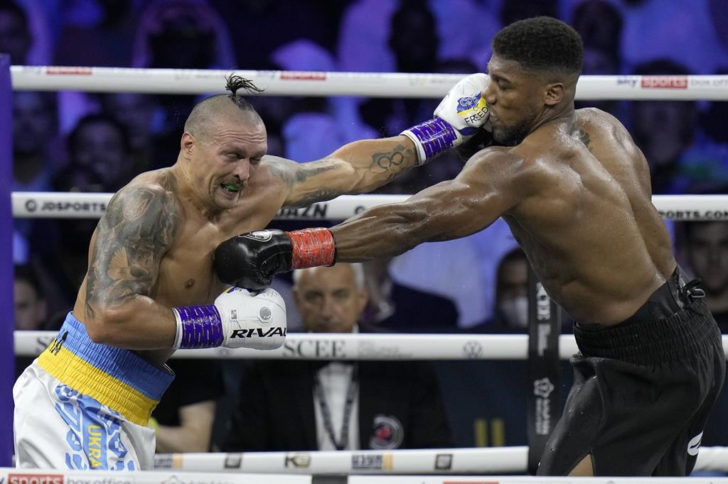 Road to undisputed: Usyk, Fury want heavyweight title fight – Winnipeg ...