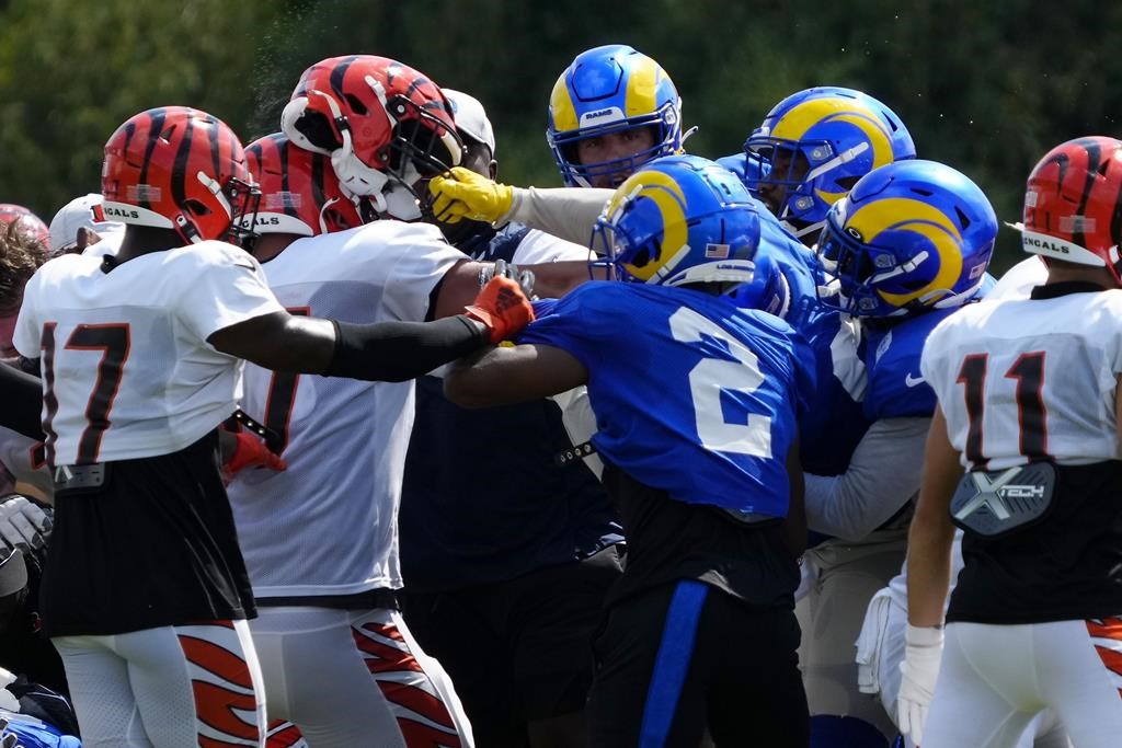 Aaron Donald swings helmet in brawl between Rams, Bengals – Winnipeg ...