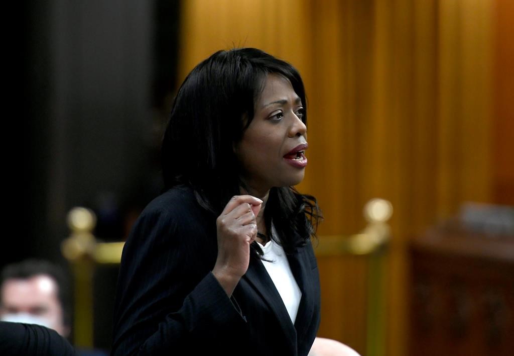 Leslyn Lewis: A look at the Conservative candidate’s key promises ...