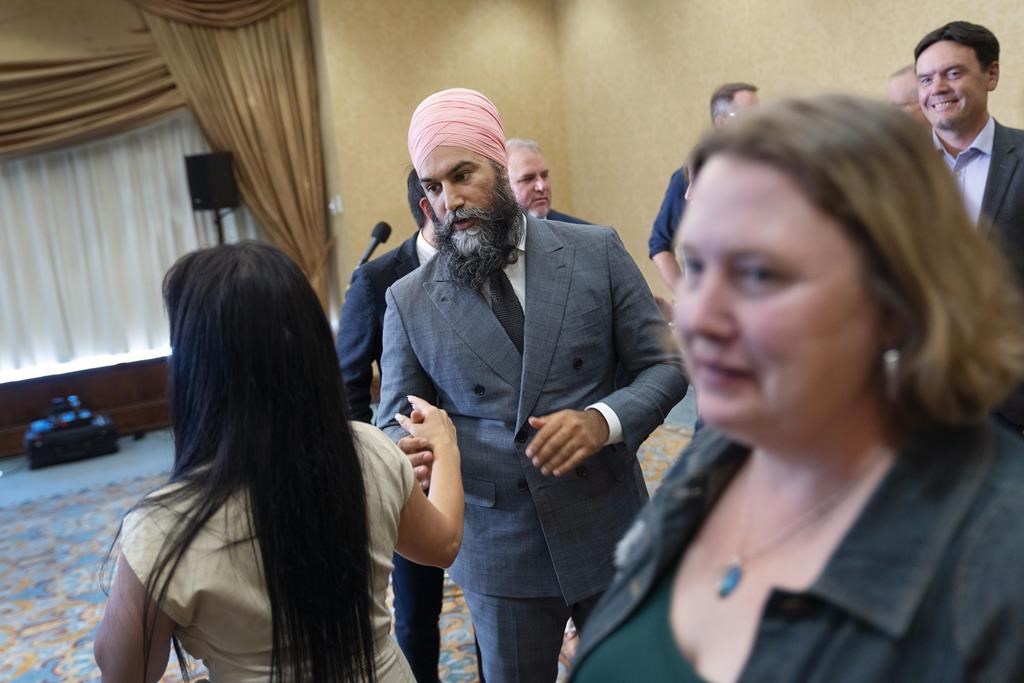 NDP leader says party will ‘force’ government to move on dental care ...