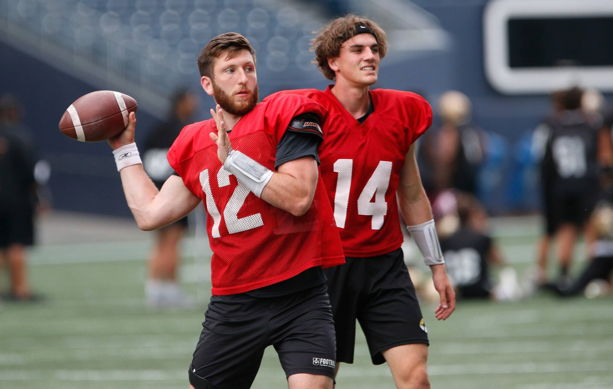 Bisons QBs battle for starter’s job – Winnipeg Free Press