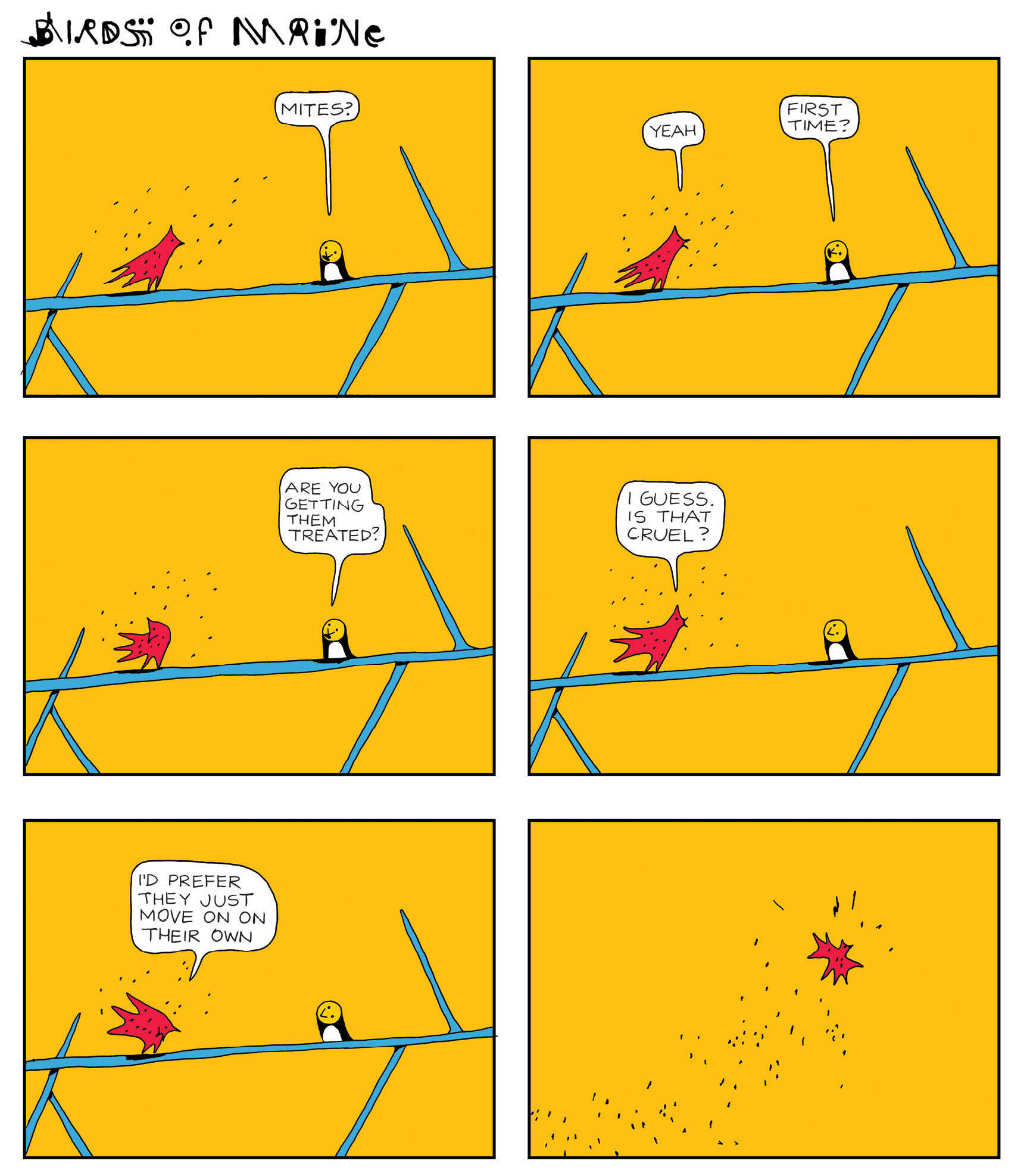 Birds of a feather – Winnipeg Free Press
